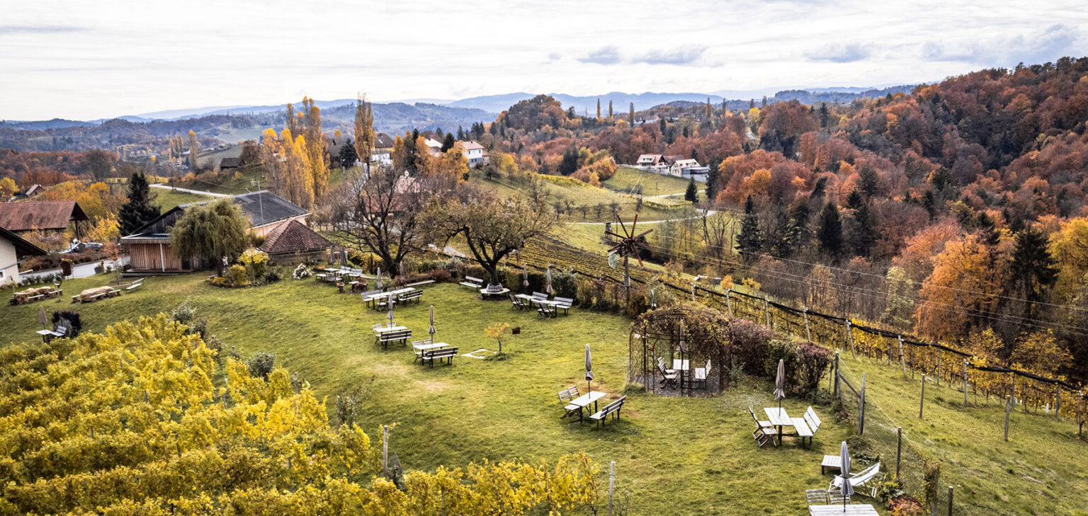 Tinnauer Weingut und Buschenschank | Leben in den Reben | Jause, Wein ...
